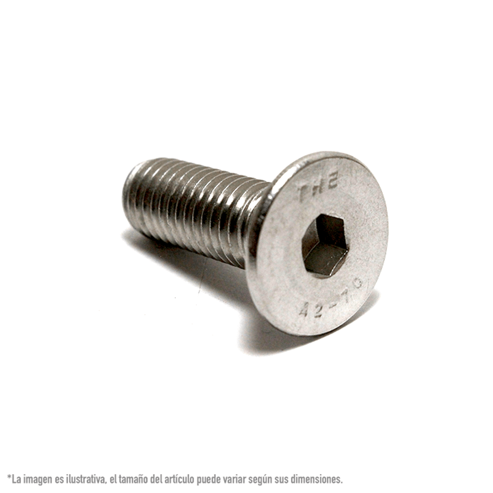 Toledo - 100 Tornillos ALLEN Plana INOX de M6 x 10 mm - XAPM06010 - etoledo